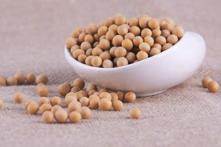 Water soluble protein Powder,Rice,Pea,Soy,Mungbean,Wheat-Homepage