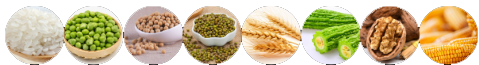 Water soluble protein Powder,Rice,Pea,Soy,Mungbean,Wheat-Homepage